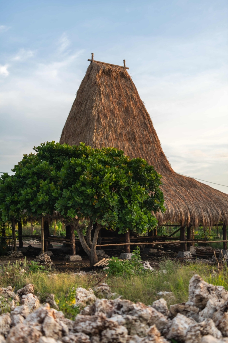 Cap Karoso - Beach resort and farm in Sumba, Indonesia